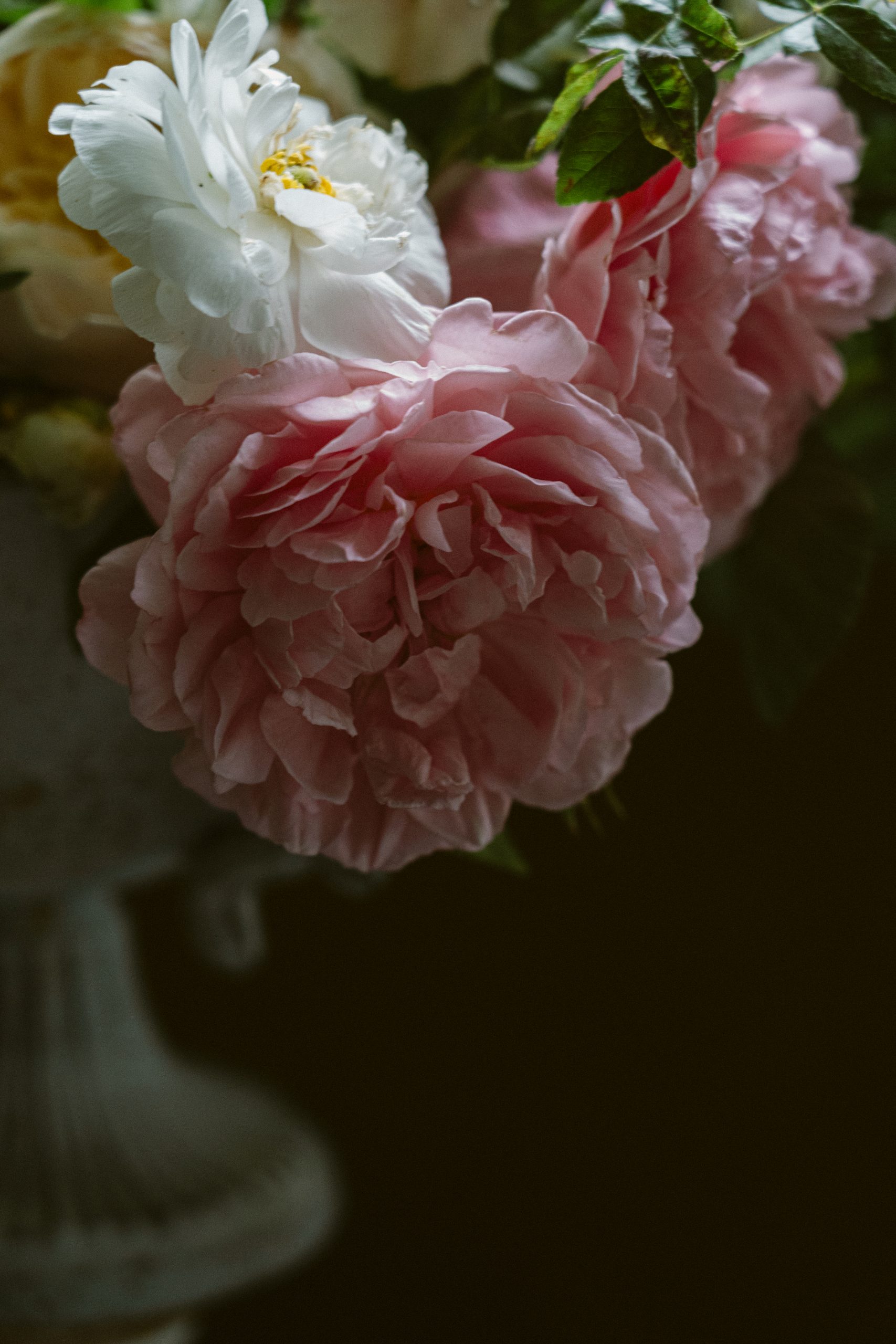 British flower examples – British Flower Market